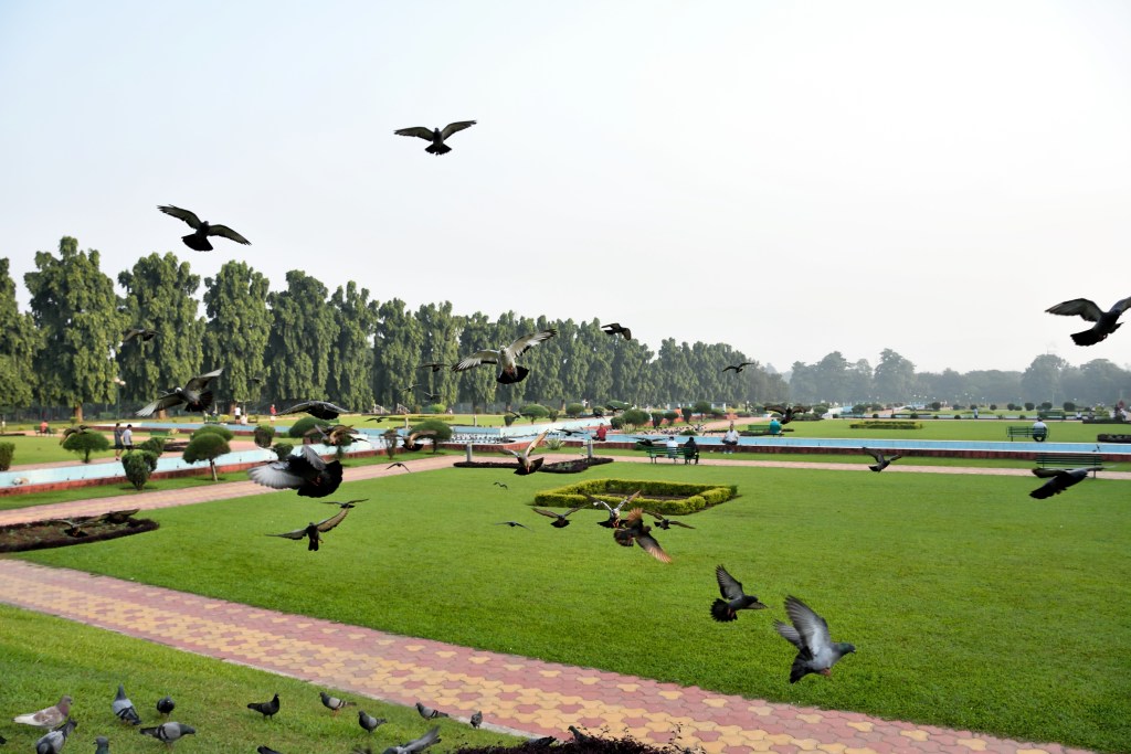 From Sakchi to Jamshedpur a trek of 102 years | The Avenue Mail
