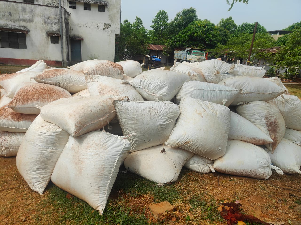 Massive drug bust in Chaibasa, Police recover ‘Doda’ worth Rs 3.15 ...