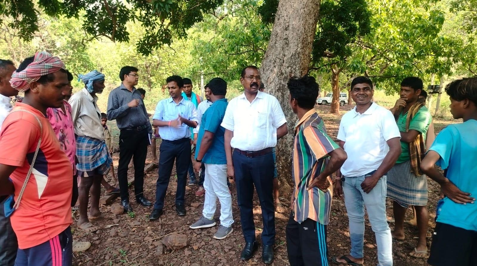 12 sheep killed by lightning in Jharkhand's Manoharpur | The Avenue Mail