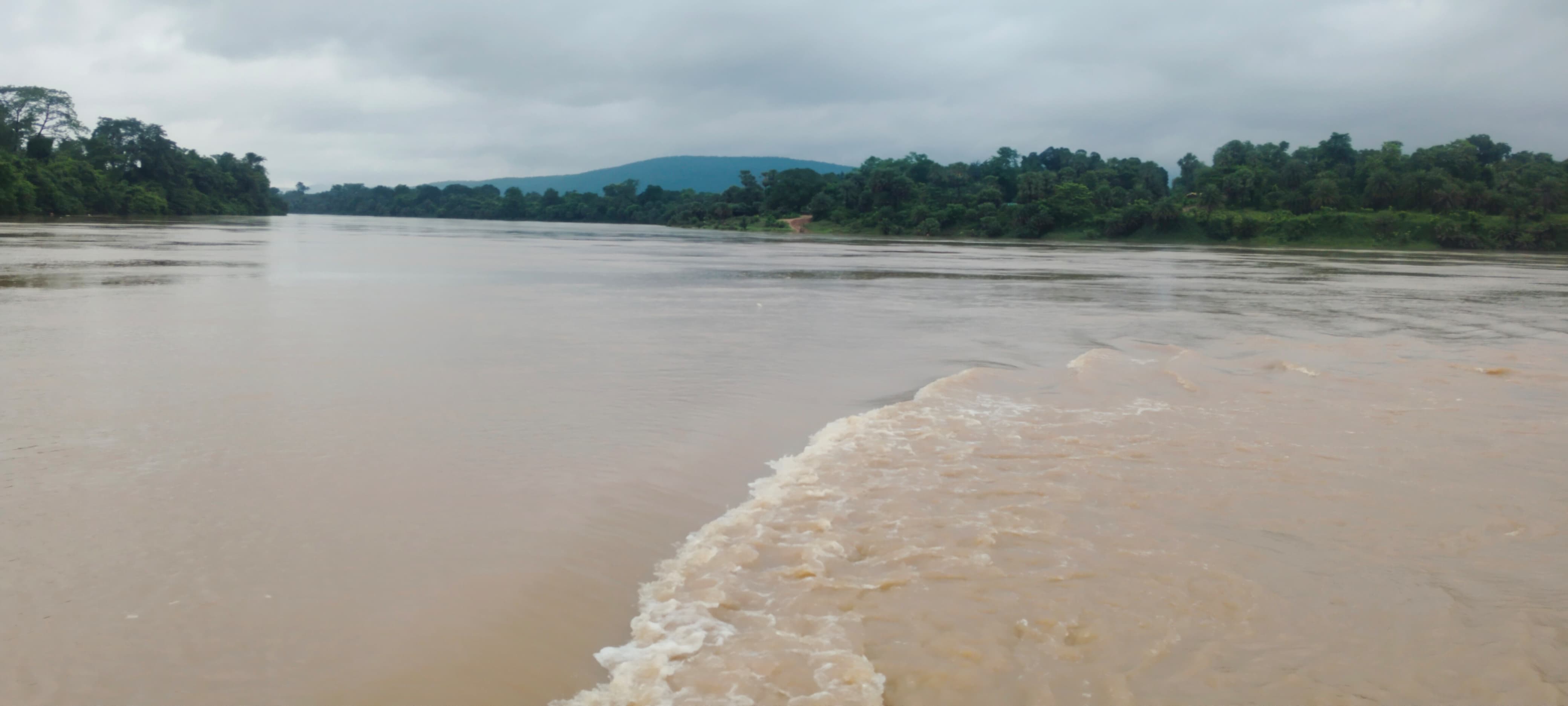 Chainpur records highest rainfall at 204 mm in Jharkhand | The Avenue Mail