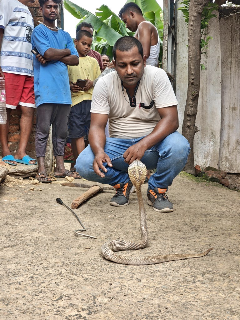 World Snake Day Special: Jamshedpur's Raja Barik leads effort to ...
