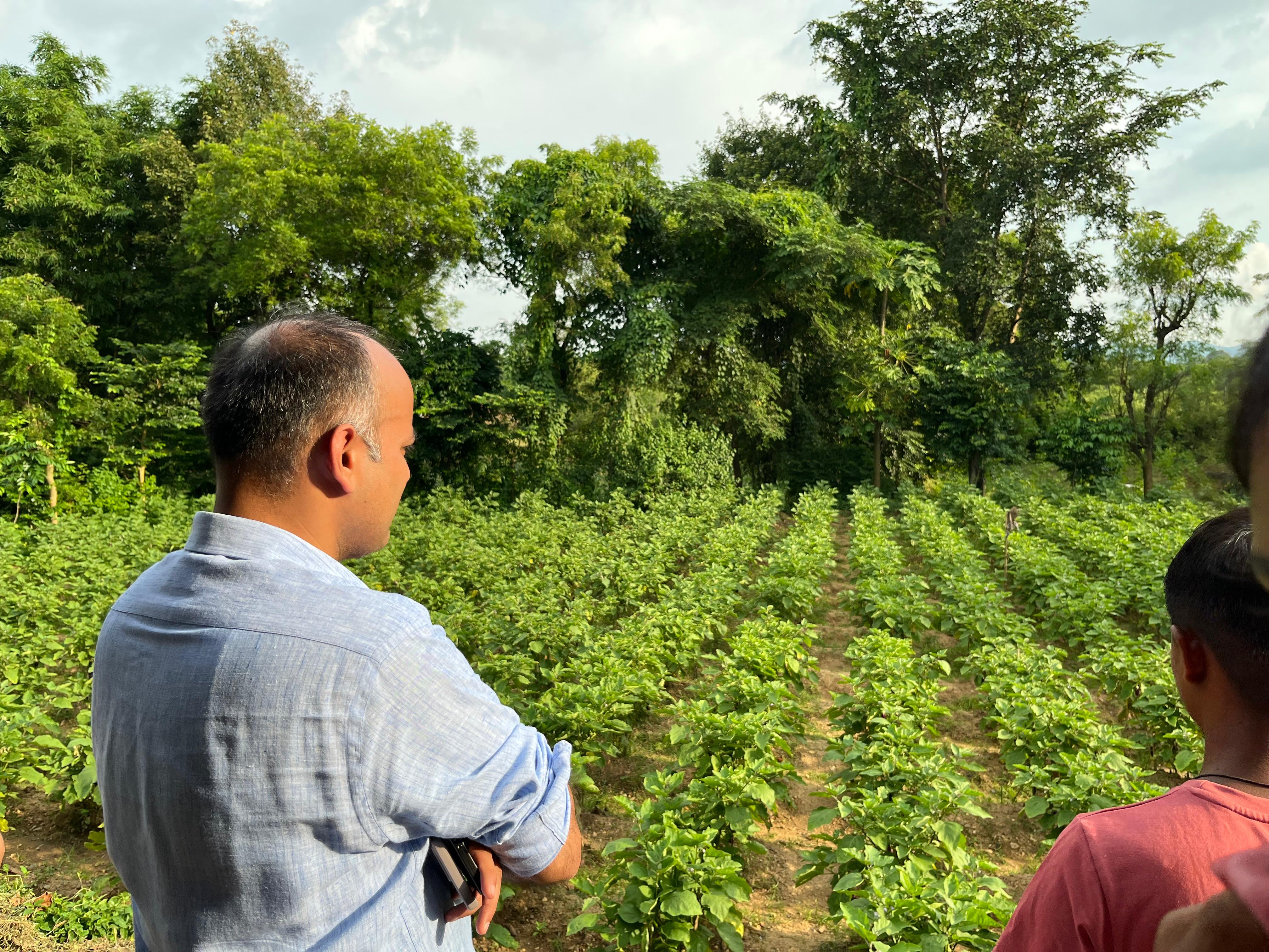 Jamshedpur DC ispects Vegetable Farming Cluster in Gohla Panchayat ...